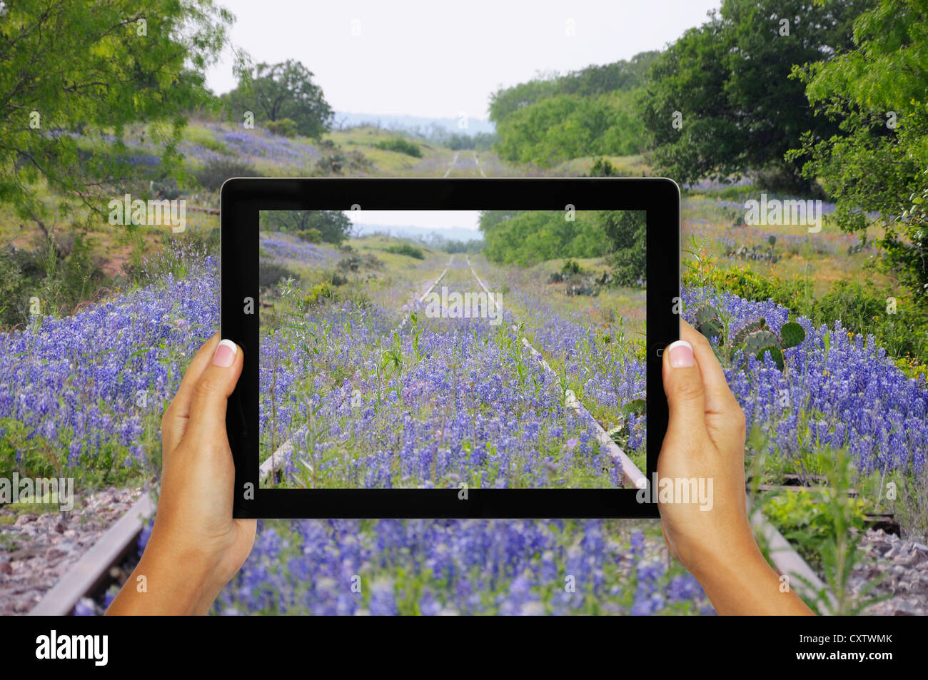 Taking photo with tablet Stock Photo - Alamy