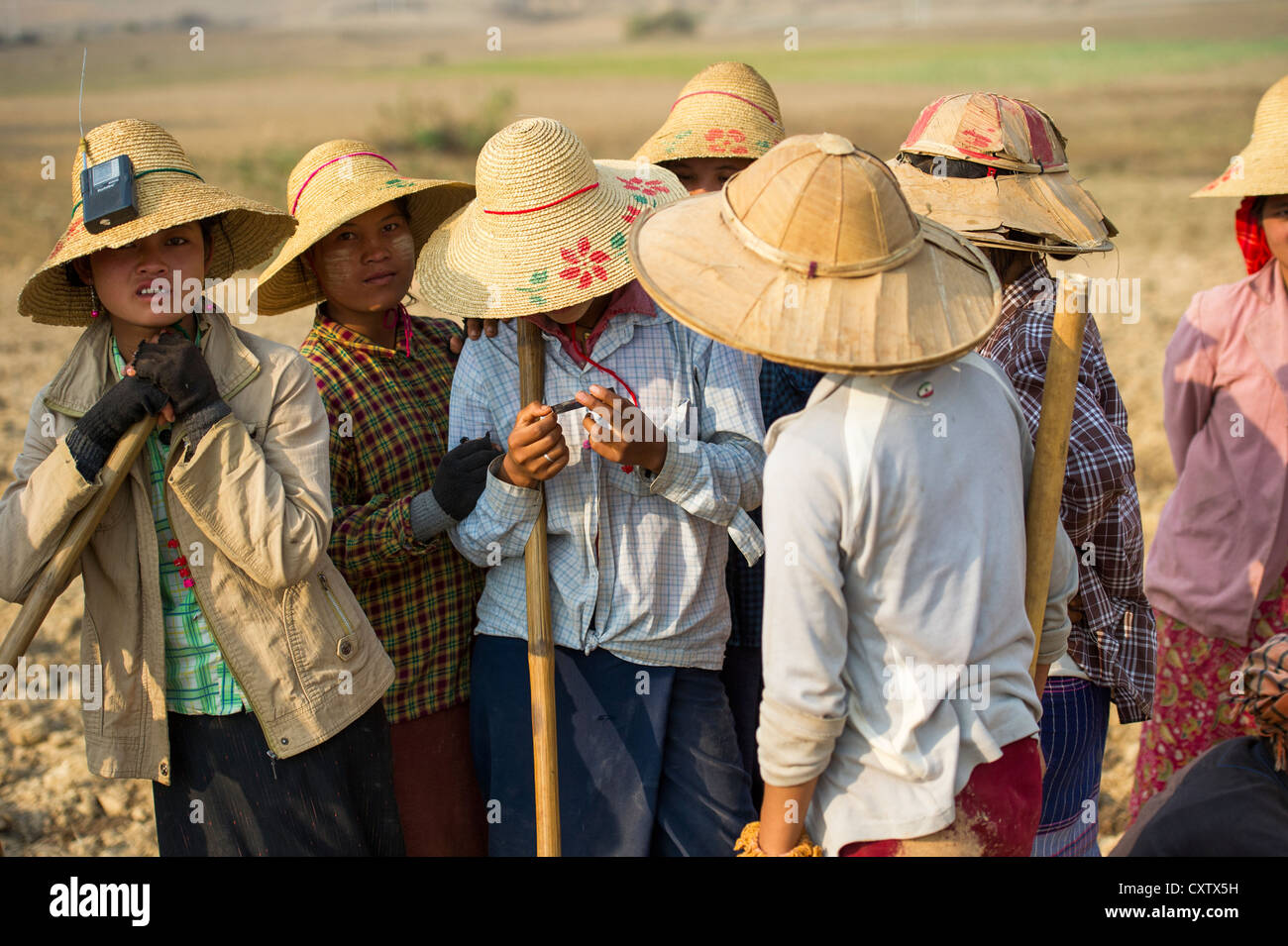 Taro poi hi-res stock photography and images - Alamy