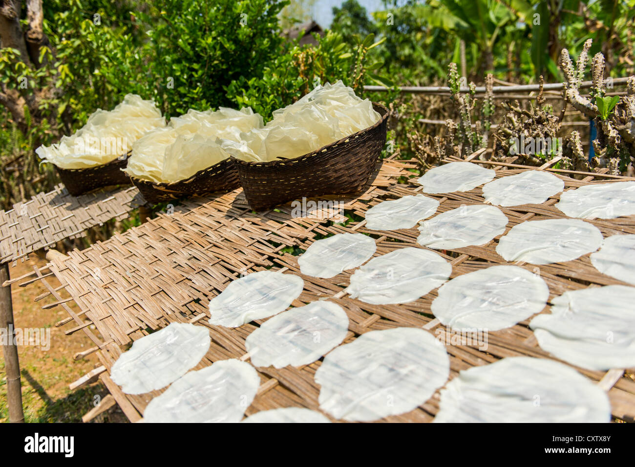 Rice crackers drying in the sun Stock Photo - Alamy