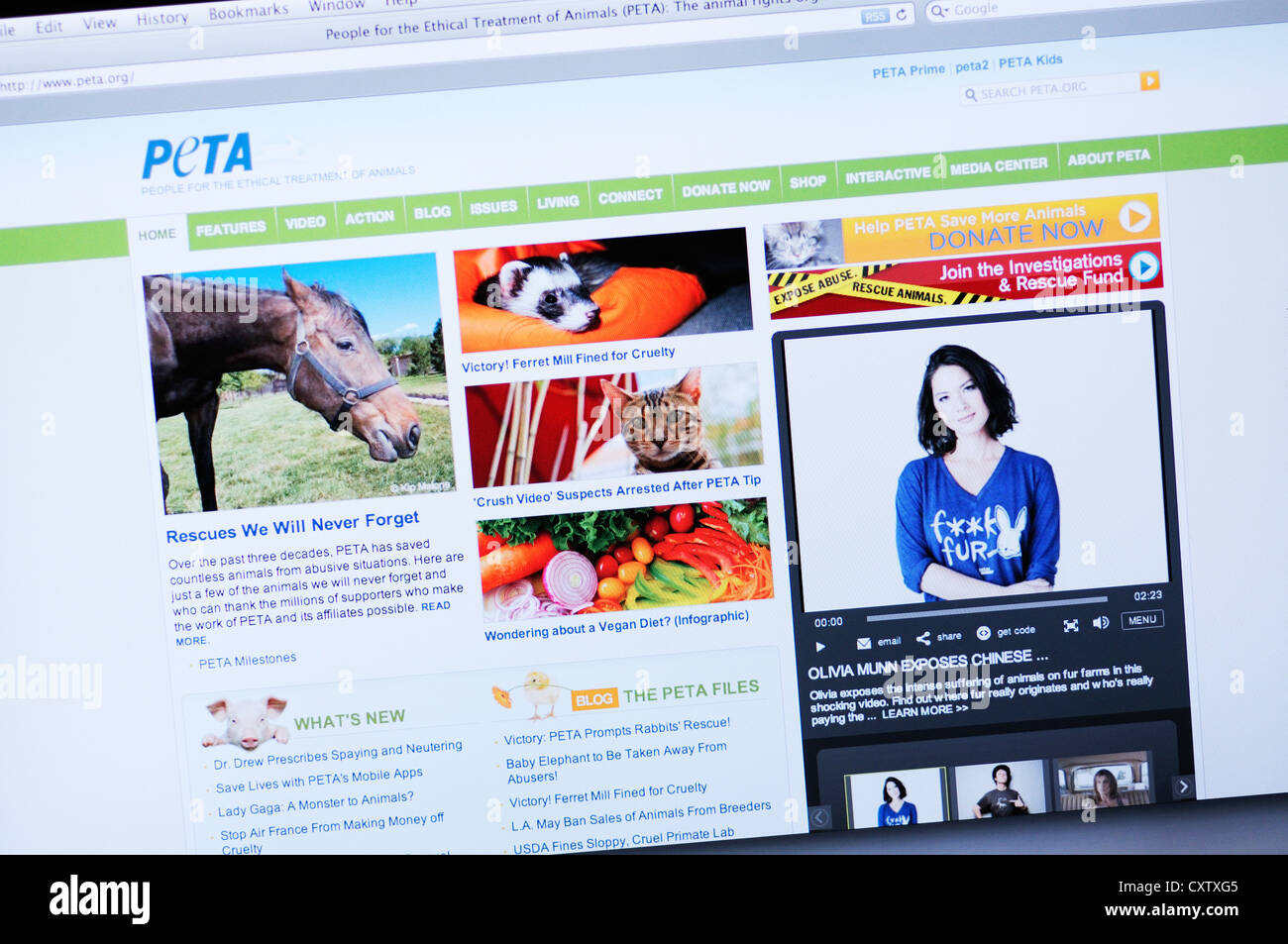 Peta computer hi-res stock photography and images - Alamy