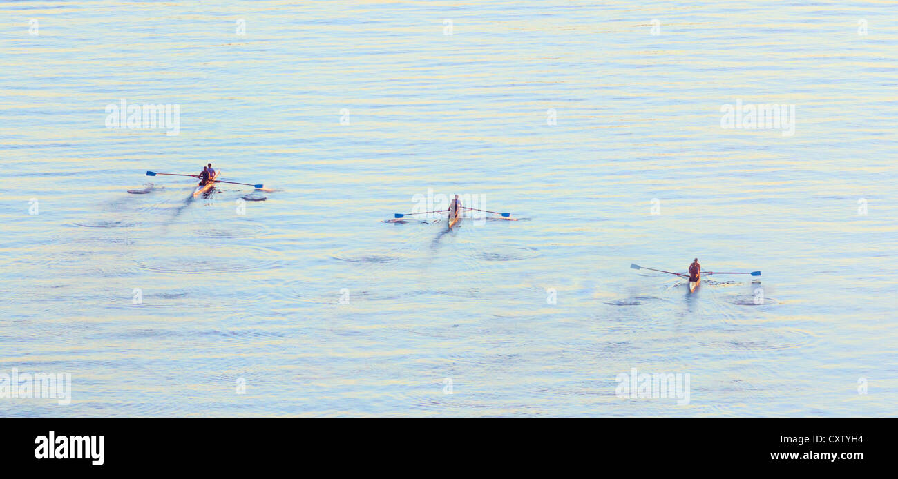 Scullers on Malaga bay, Spain Stock Photo - Alamy