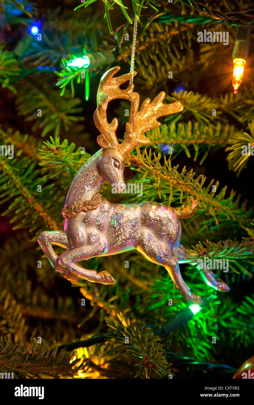Illuminated christmas reindeer hi-res stock photography and images - Alamy