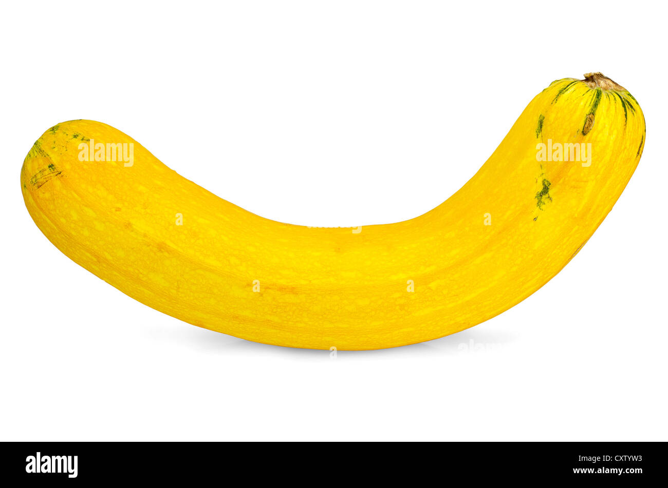 Large yellow zucchini isolated on white background Stock Photo - Alamy