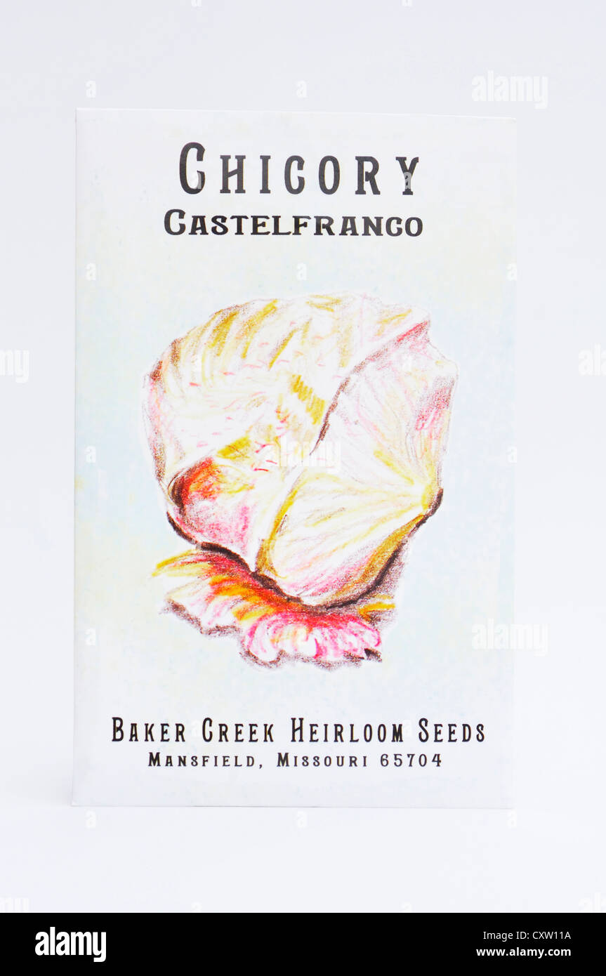 Seed packet - chicory castelfranco Stock Photo - Alamy