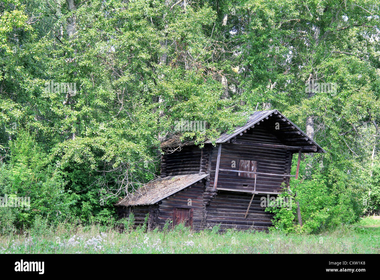 Shabby house in a forest Stock Photo - Alamy