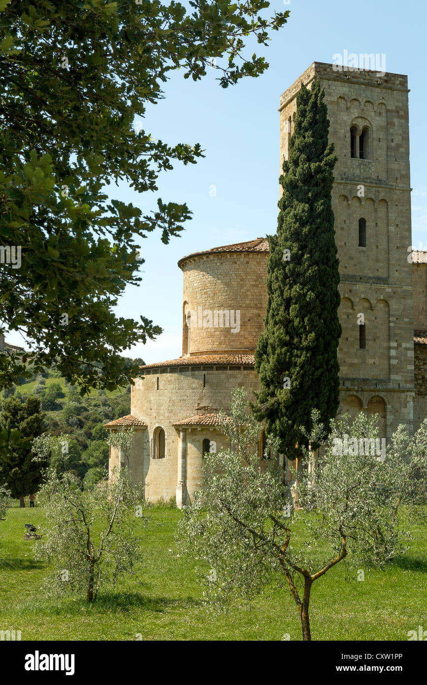 Olive trees around San Altimo Abbey in Tuscany Italy Stock Photo - Alamy