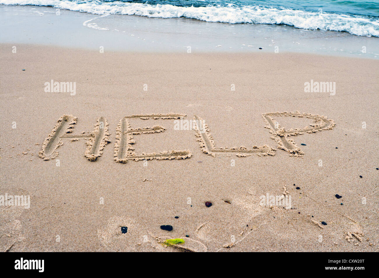 Marine word hi-res stock photography and images - Alamy