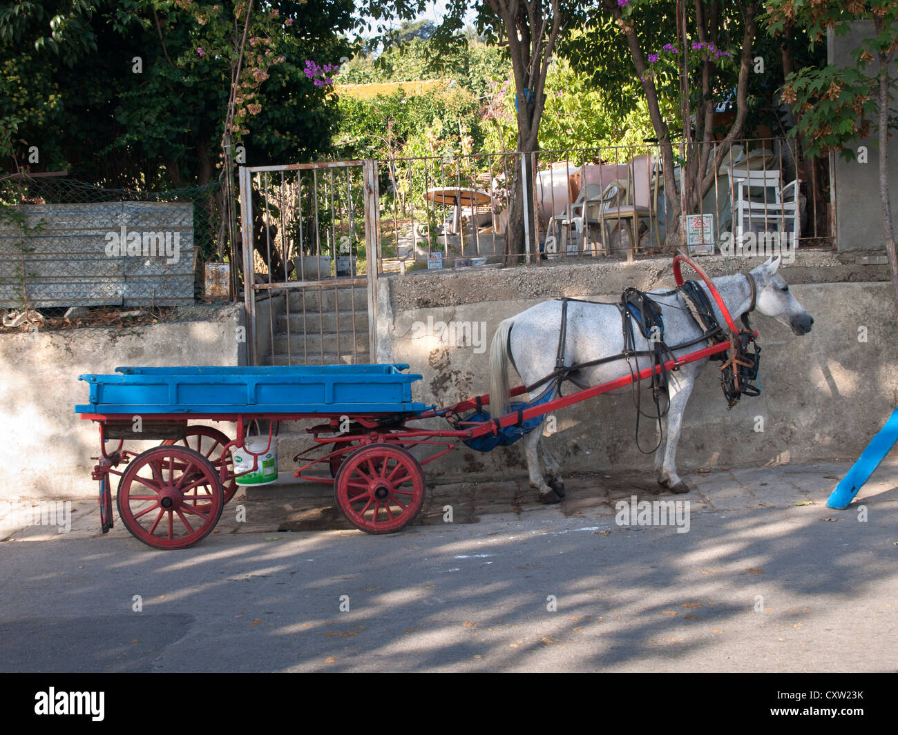Horse drawn wagon / cart for goods transportation in Buyukada Turkey ...