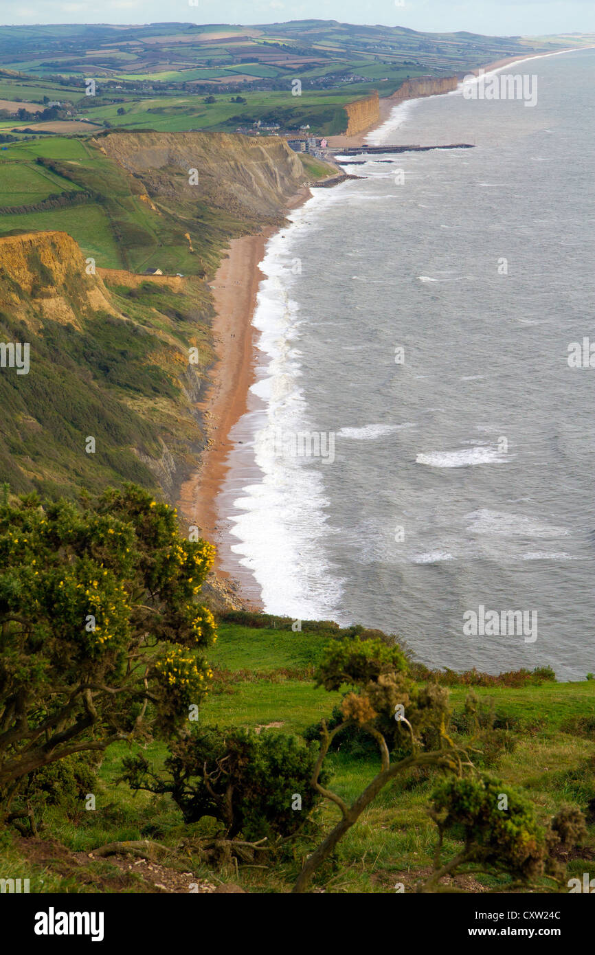 Dorset coast view towards West Bay and Chesil beach on the Jurassic ...