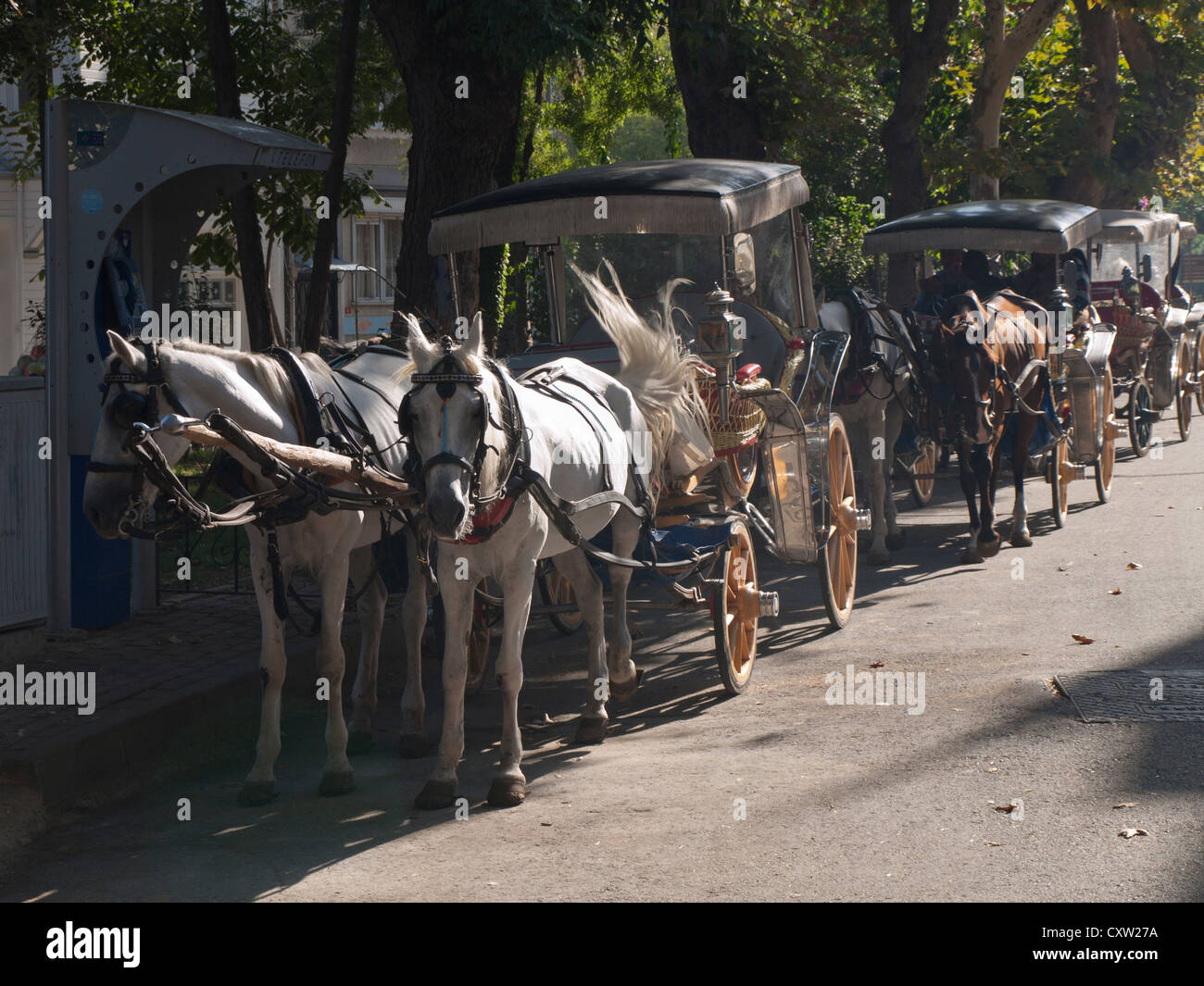 Phaeton carriage hi-res stock photography and images - Alamy