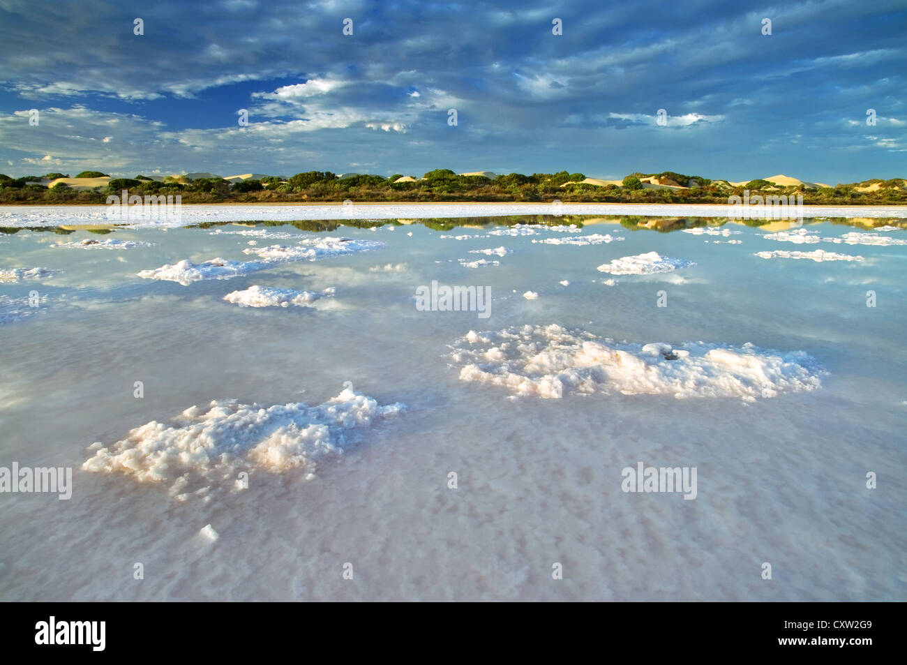 Pink salt lake lagoon at Cactus Beach Dunes Stock Photo - Alamy