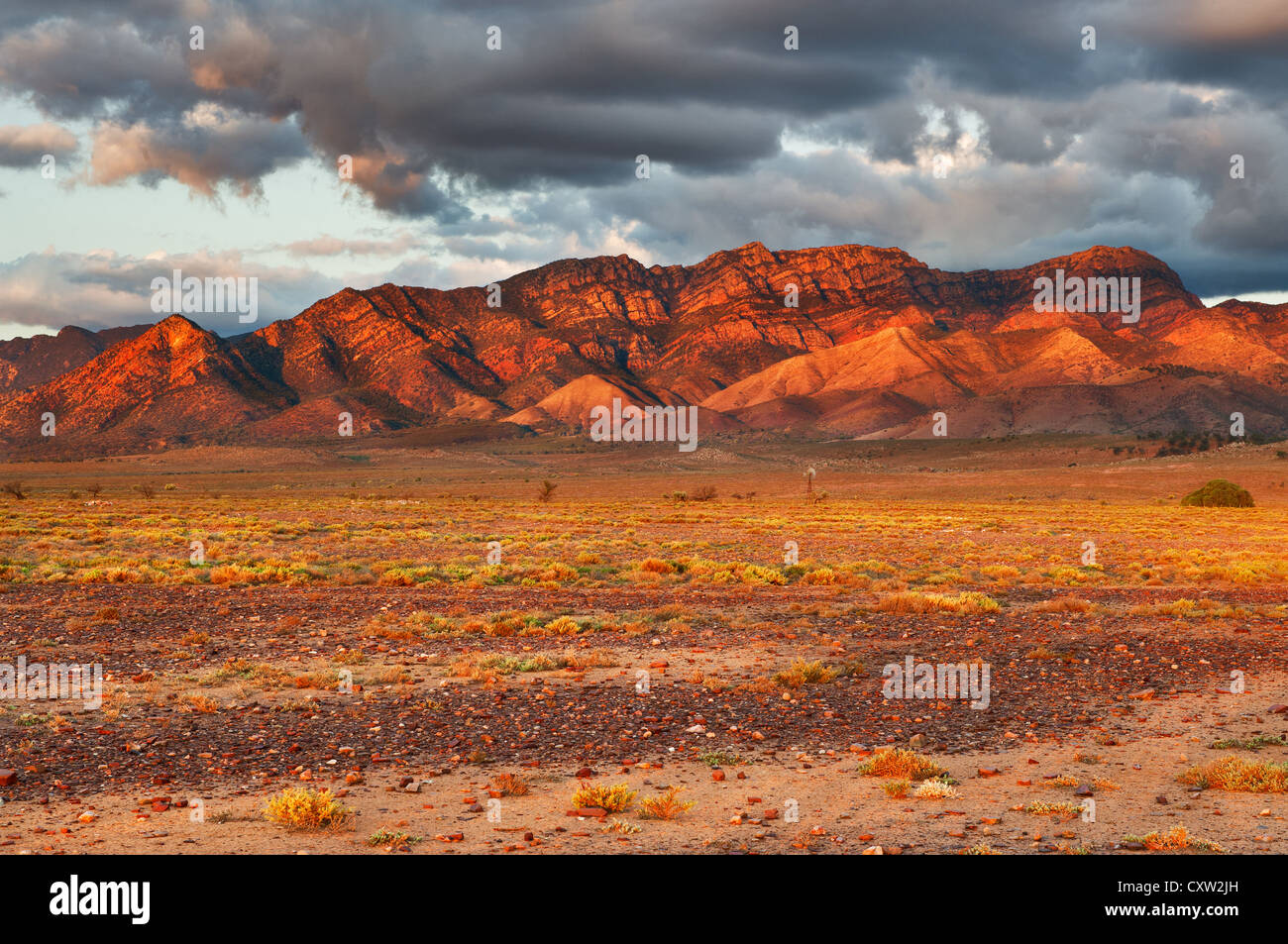 Wilpena pound hi-res stock photography and images - Alamy