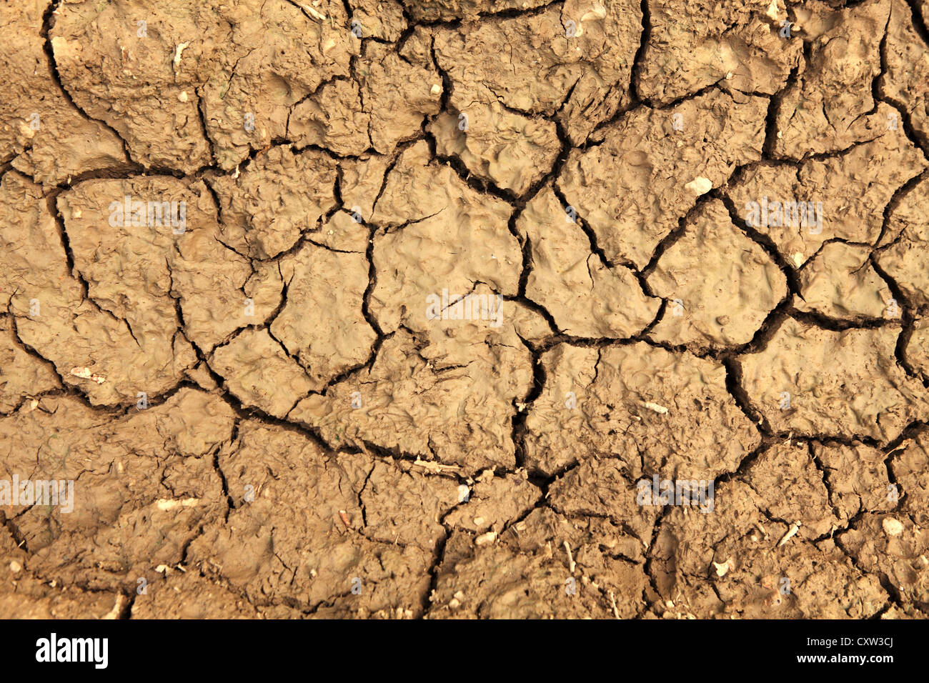 Texture of clay, background Stock Photo - Alamy