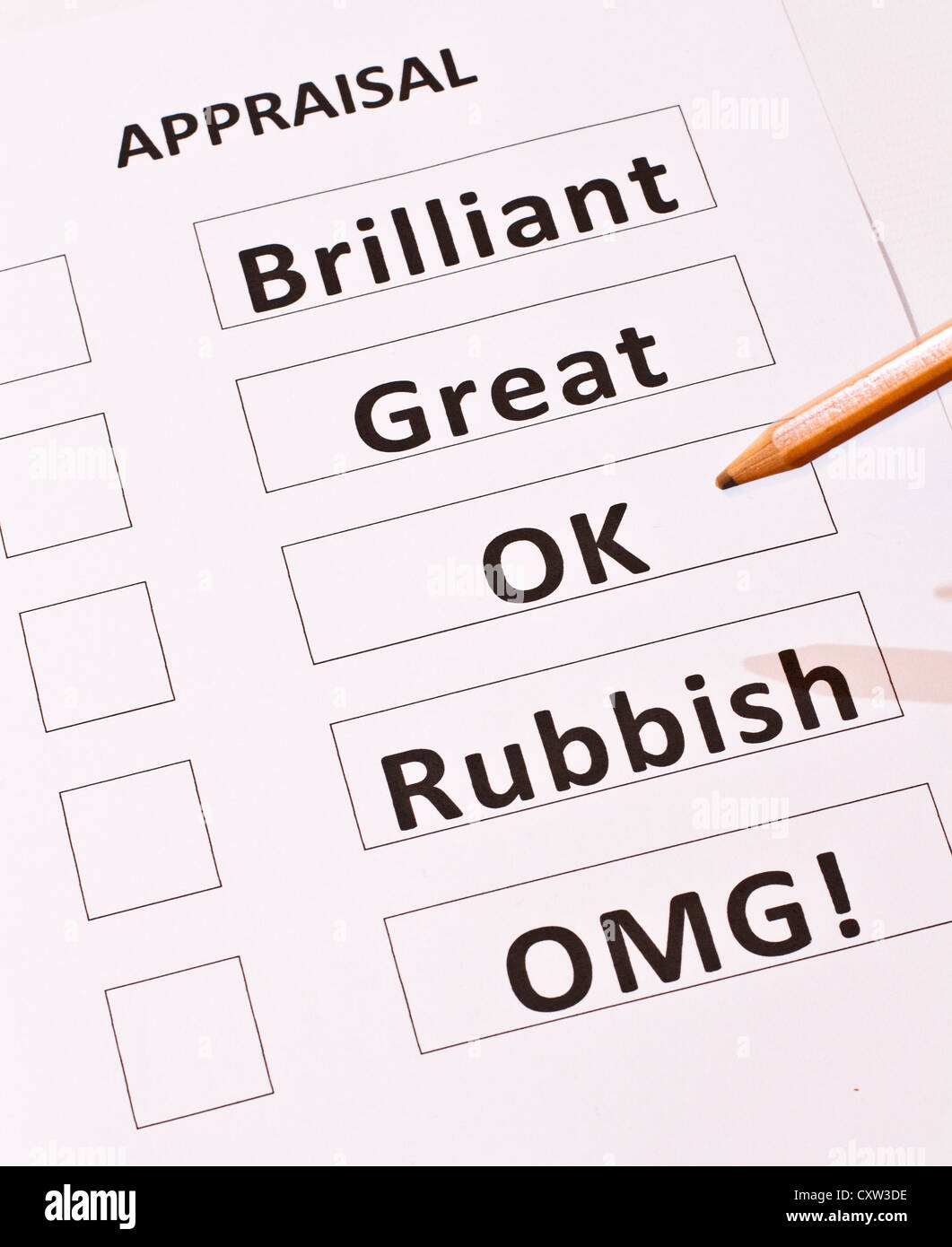 A fun performance appraisal form where `Oh My God ` is a choice Stock ...