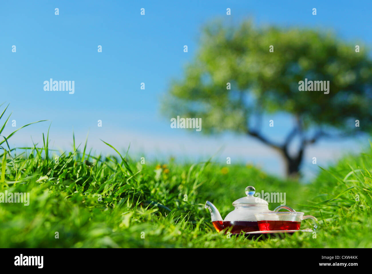 Natural tea on green grass Stock Photo - Alamy