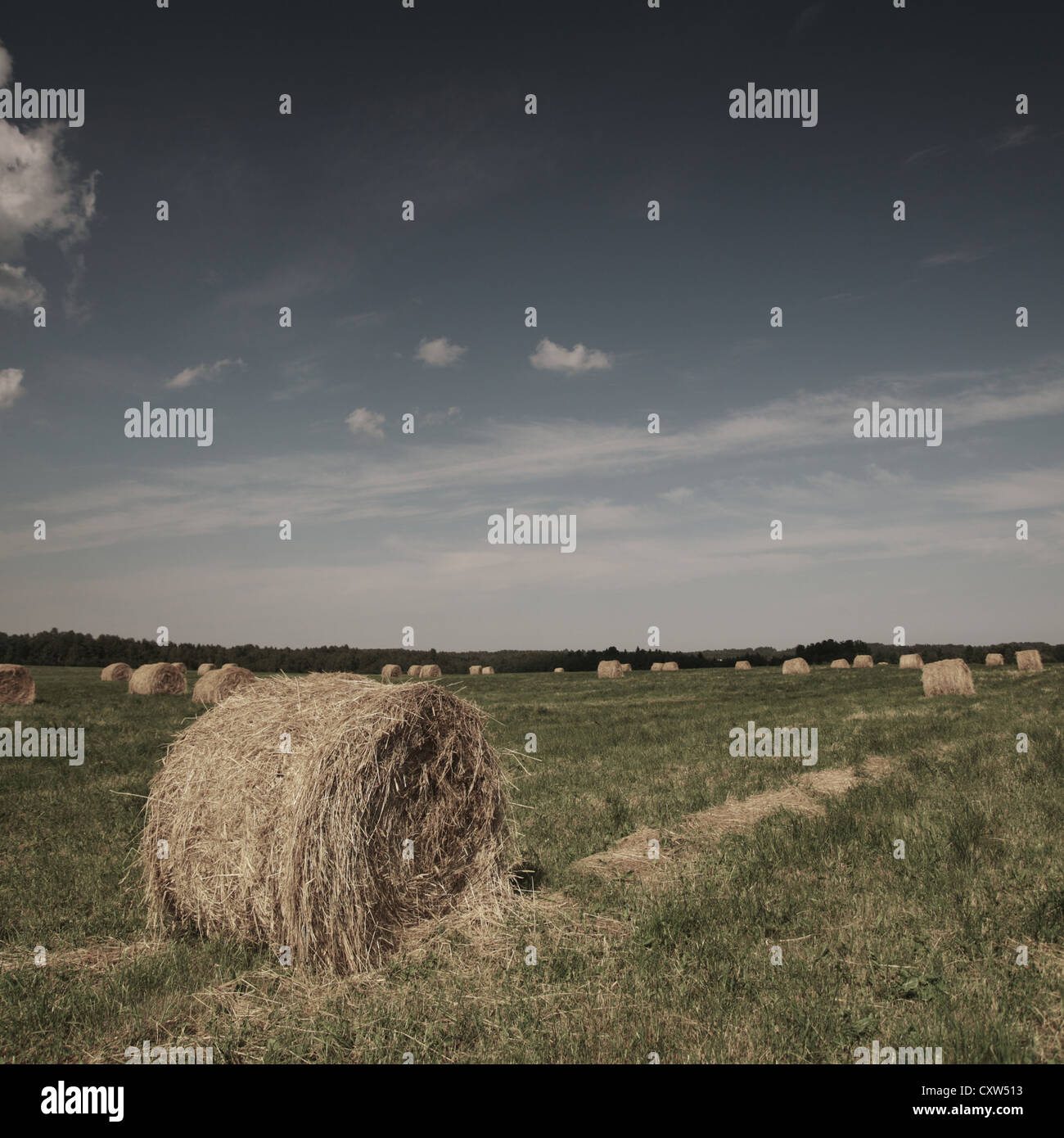 Rolling haystack hi-res stock photography and images - Alamy