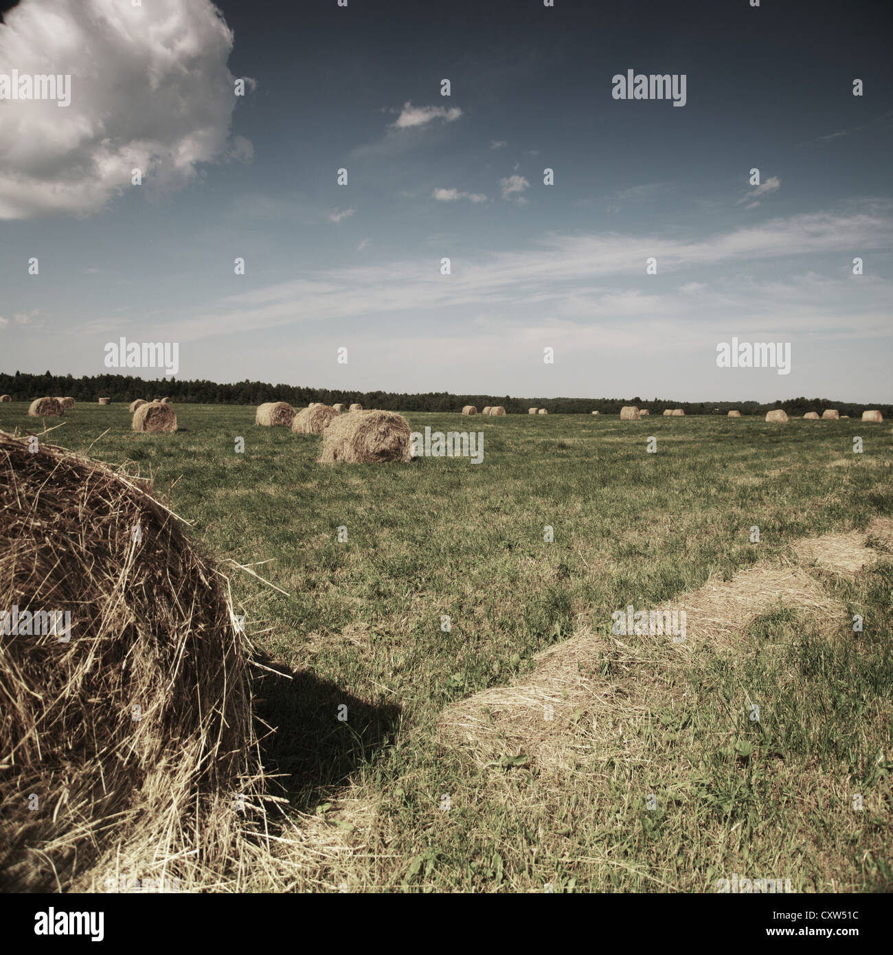 Rolling haystack hi-res stock photography and images - Alamy