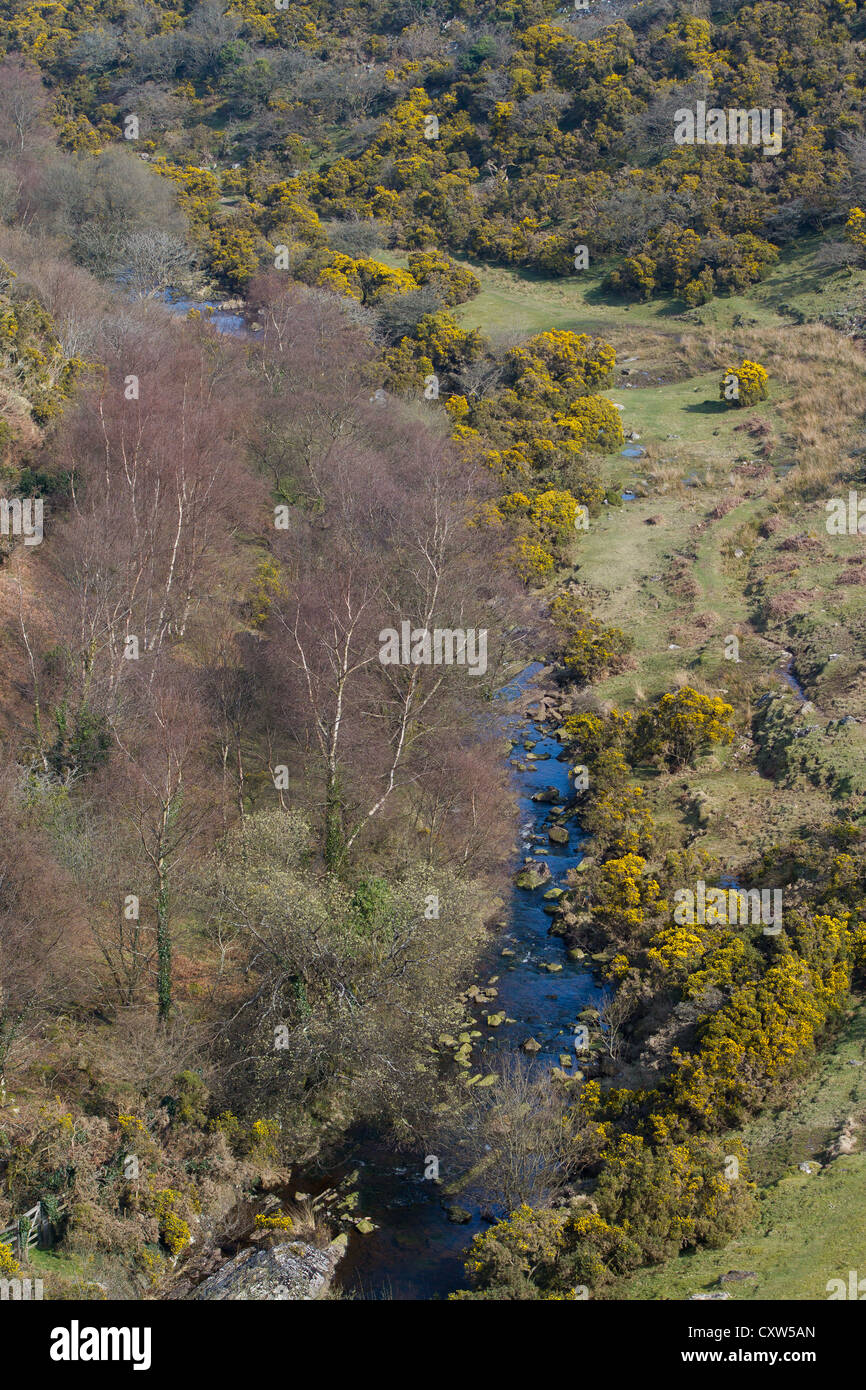 View from Meldon Viaduct Dartmoor National Park Devon Stock Photo - Alamy