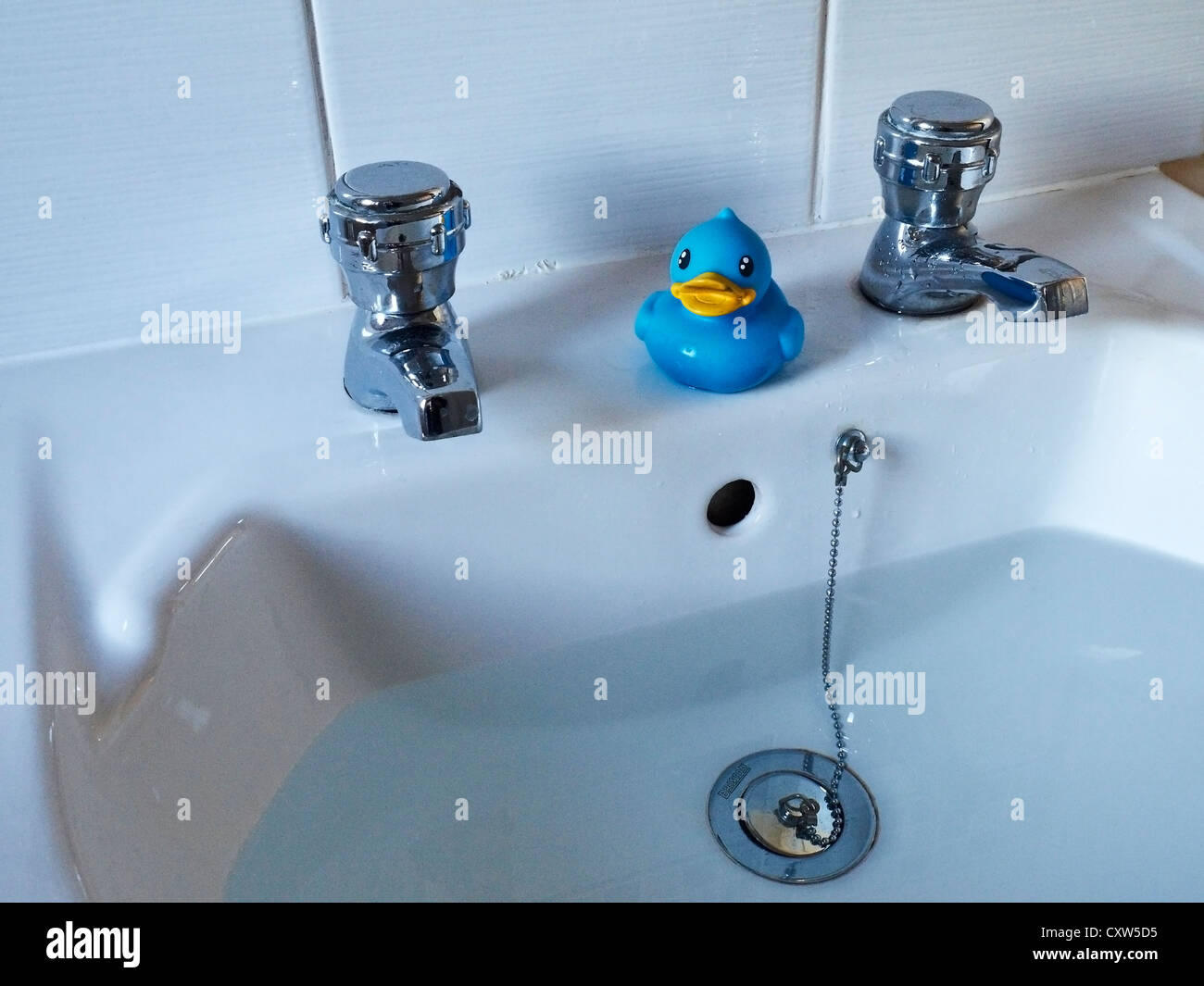 Blue rubber toy duck in bathroom sink Stock Photo - Alamy