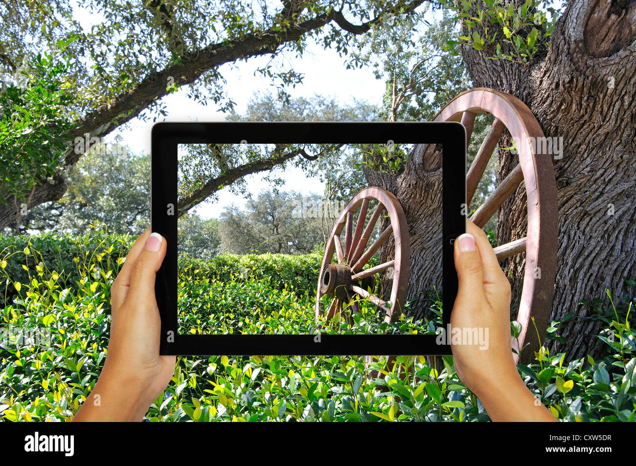 Taking photo with iPad Stock Photo - Alamy