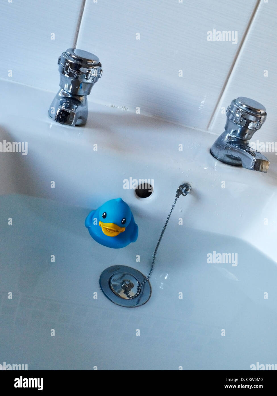 Blue rubber toy duck in bathroom sink Stock Photo - Alamy