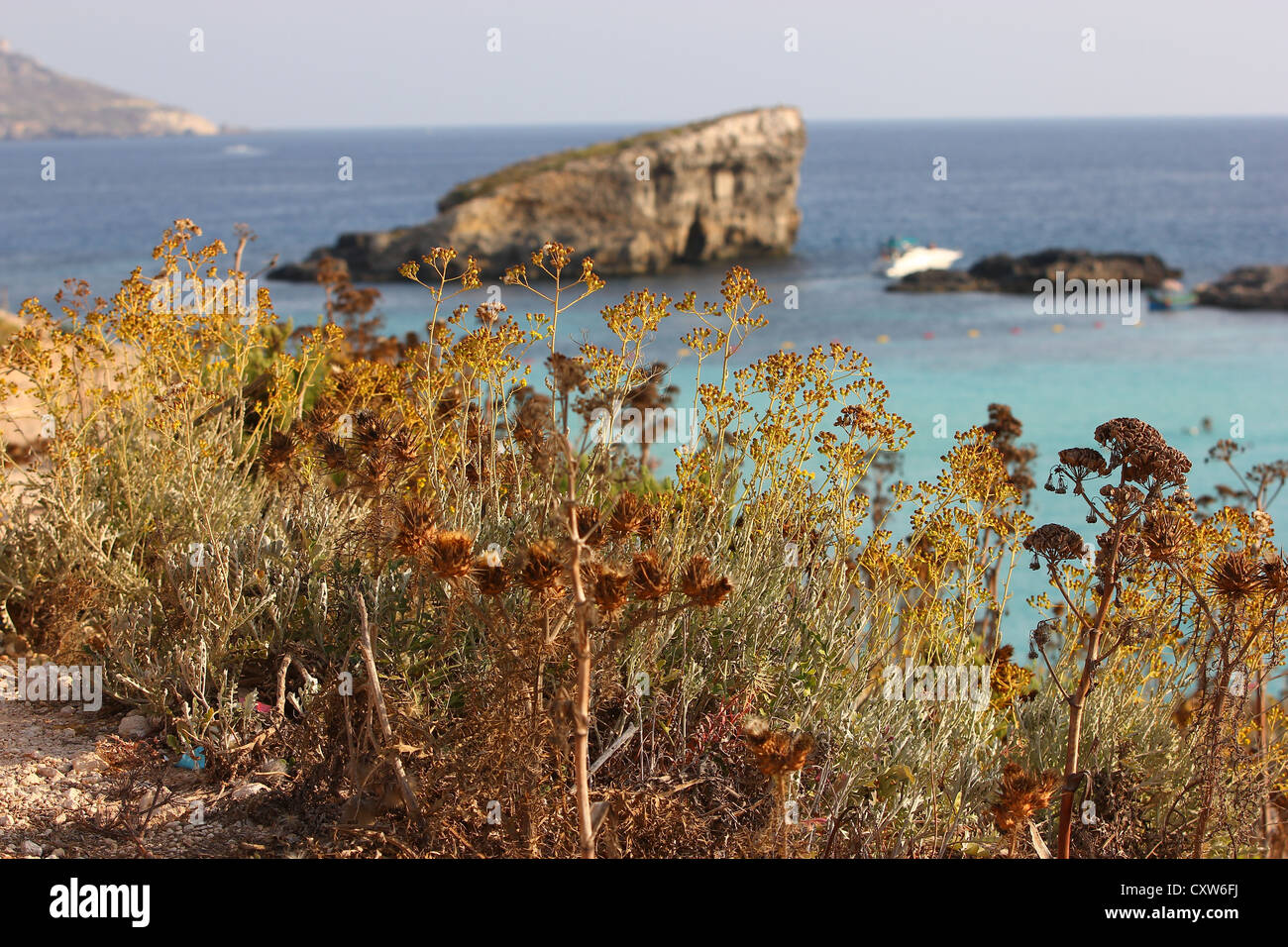 Malta, a picture of the beautiful Blue Lagoon, blue water, rocks ...