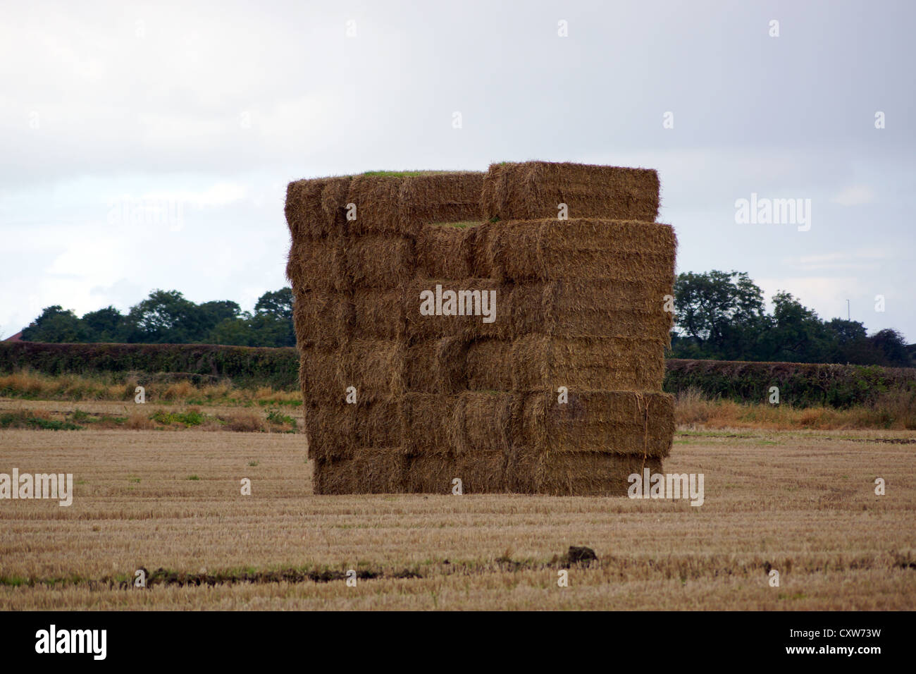 Yorkshire the haystack hi-res stock photography and images - Alamy