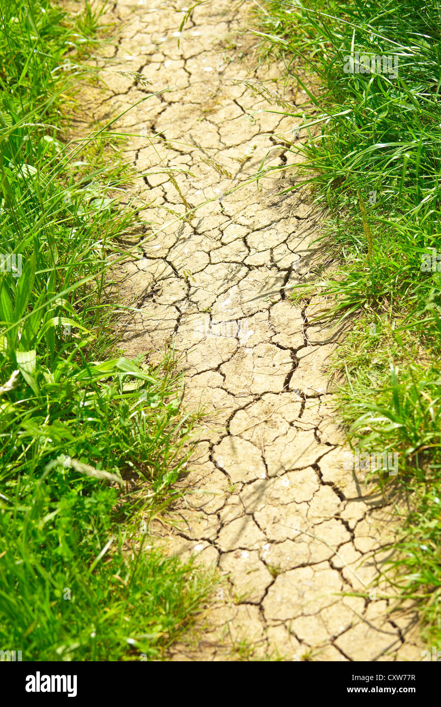 Cracked footpath hi-res stock photography and images - Alamy