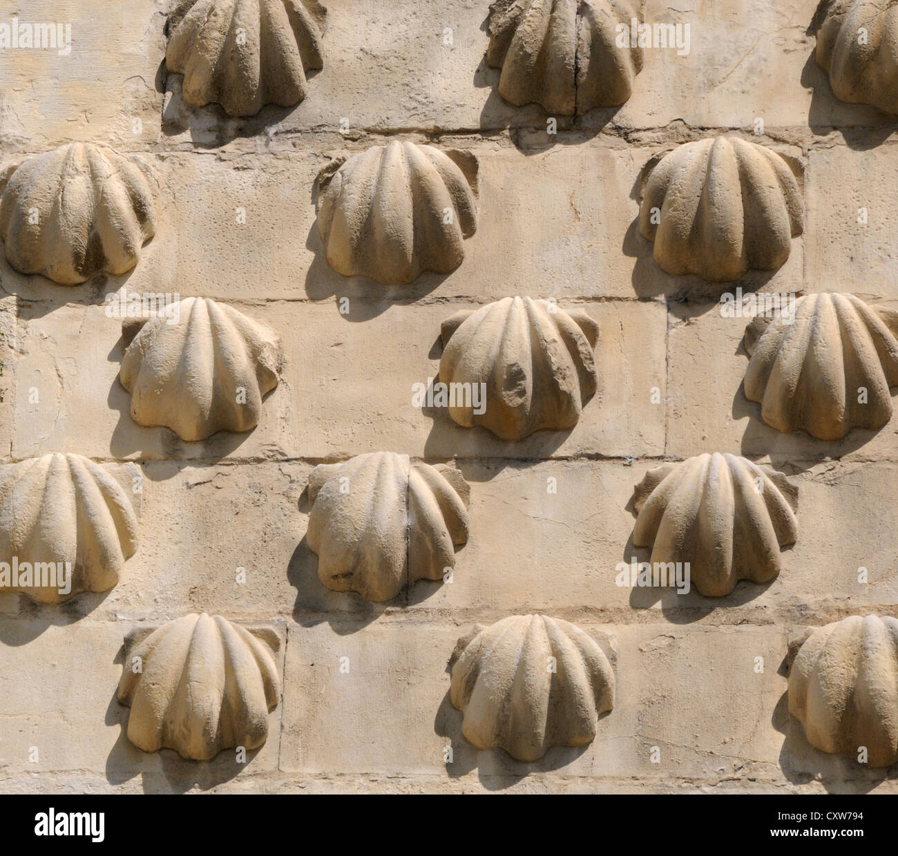 Camino scallop shells hi-res stock photography and images - Alamy