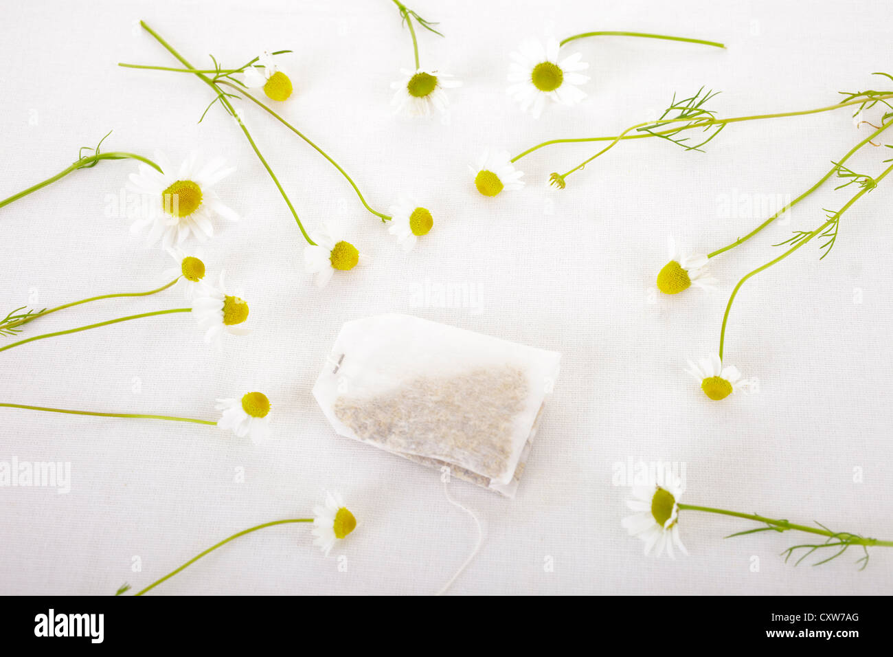 Herbal tea fresh chamomile hi-res stock photography and images - Alamy