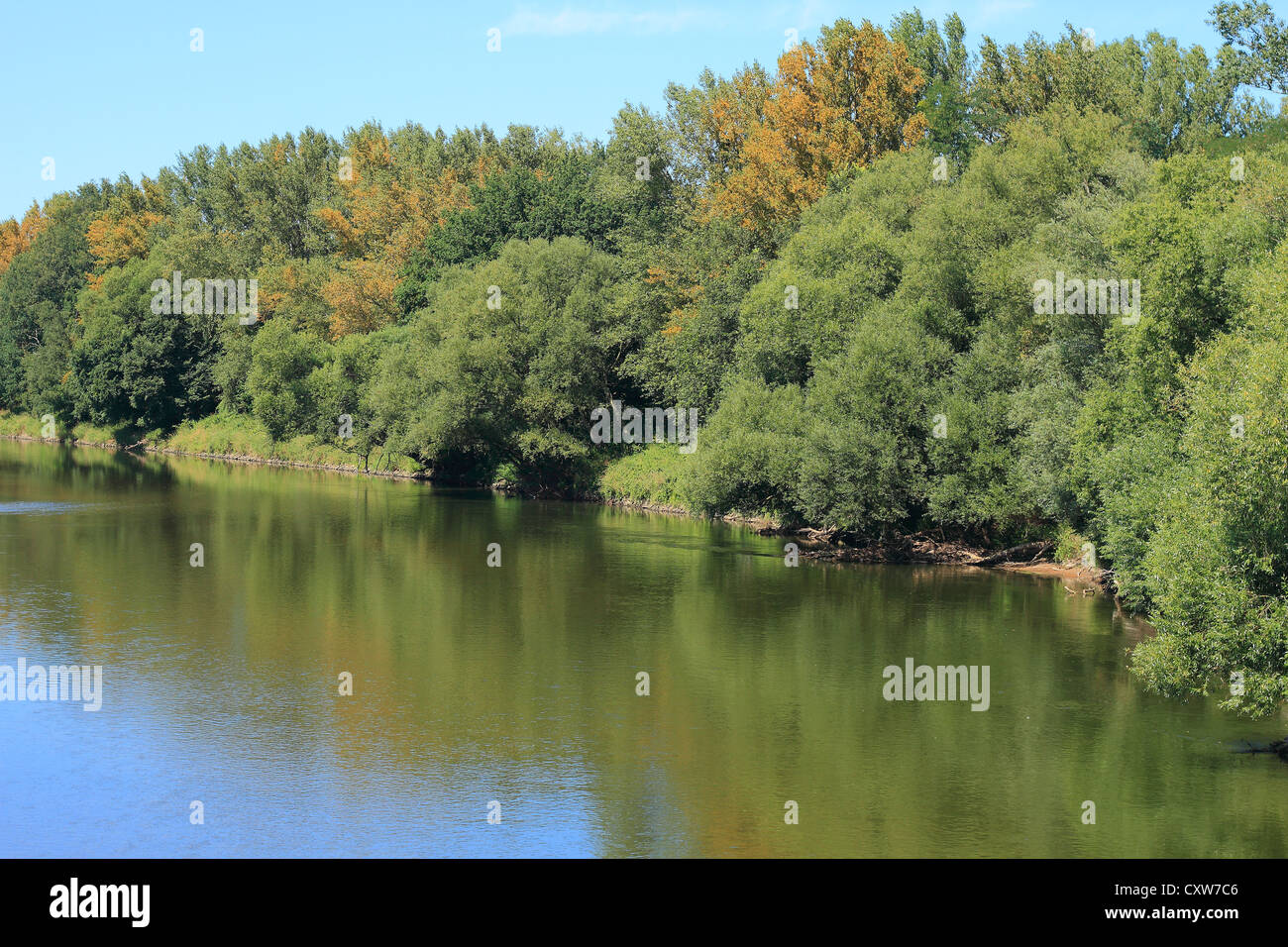 Mulde river in summer Stock Photo - Alamy
