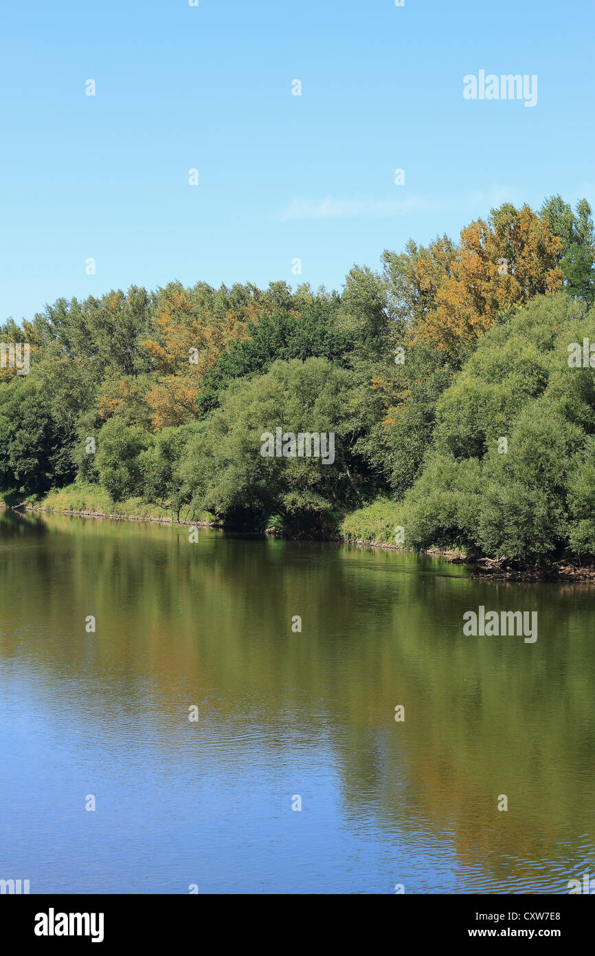 Mulde river in summer Stock Photo - Alamy