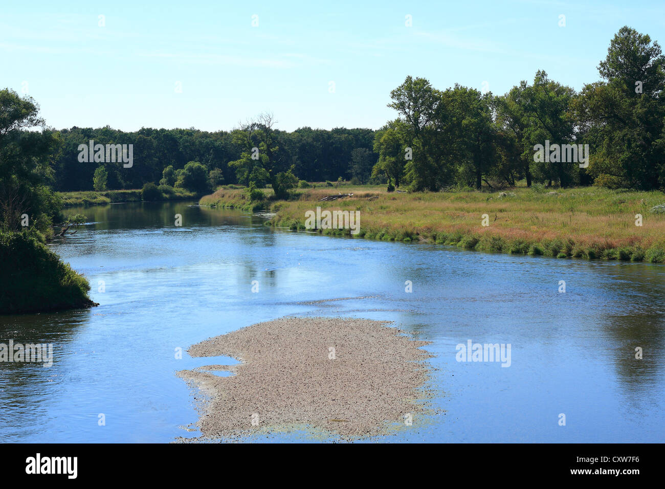 Mulde river in summer Stock Photo - Alamy