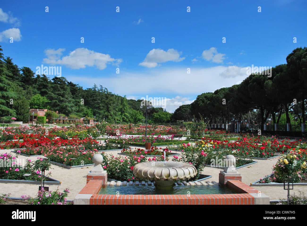 Roses Park Landscape, Madrid Stock Photo - Alamy