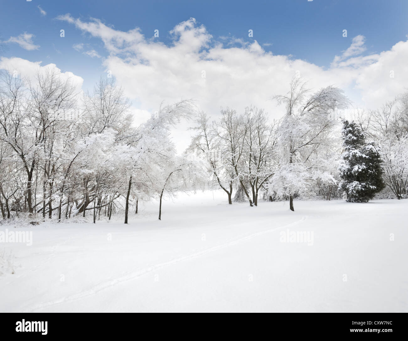 Snow landscape tree hi-res stock photography and images - Alamy