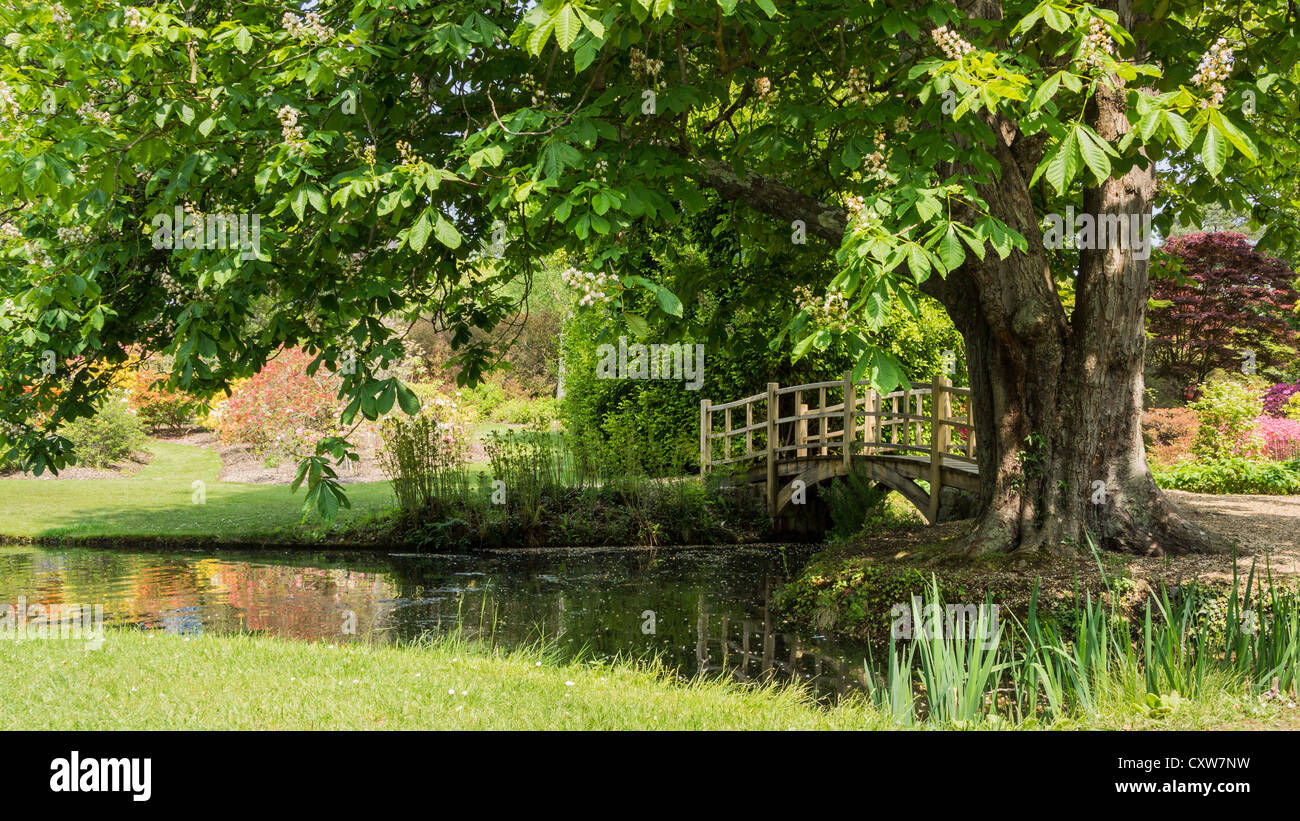 Japanese garden bridge hi-res stock photography and images - Alamy