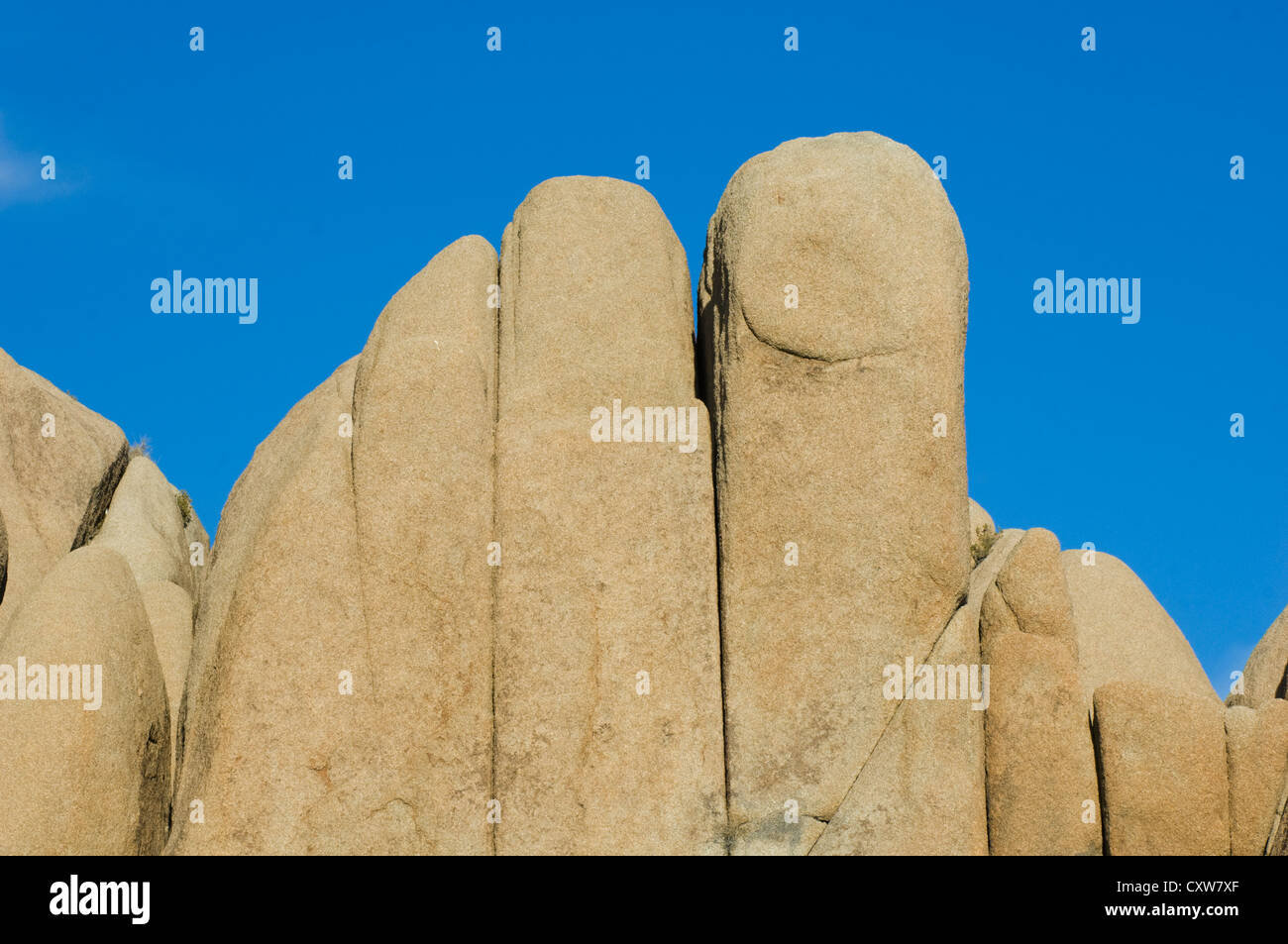 California, Joshua Tree National Park, Granite rocks eroded like toes ...