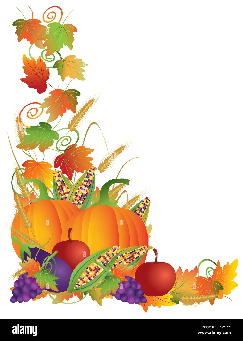 Thanksgiving Day Fall Harvest Pumpkin Eggplant Grapes Corns Apples with ...