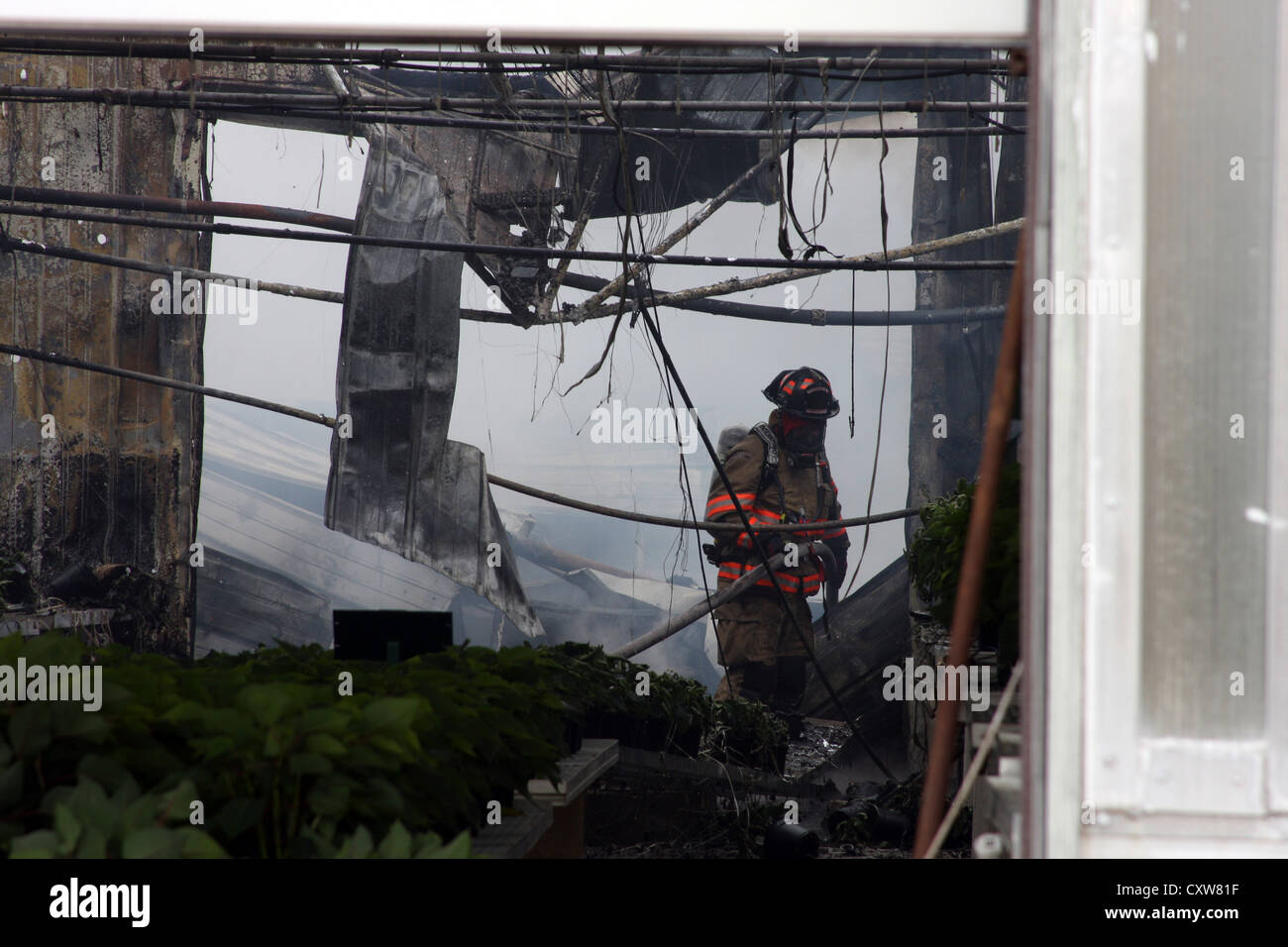 Collapsed person hi-res stock photography and images - Alamy