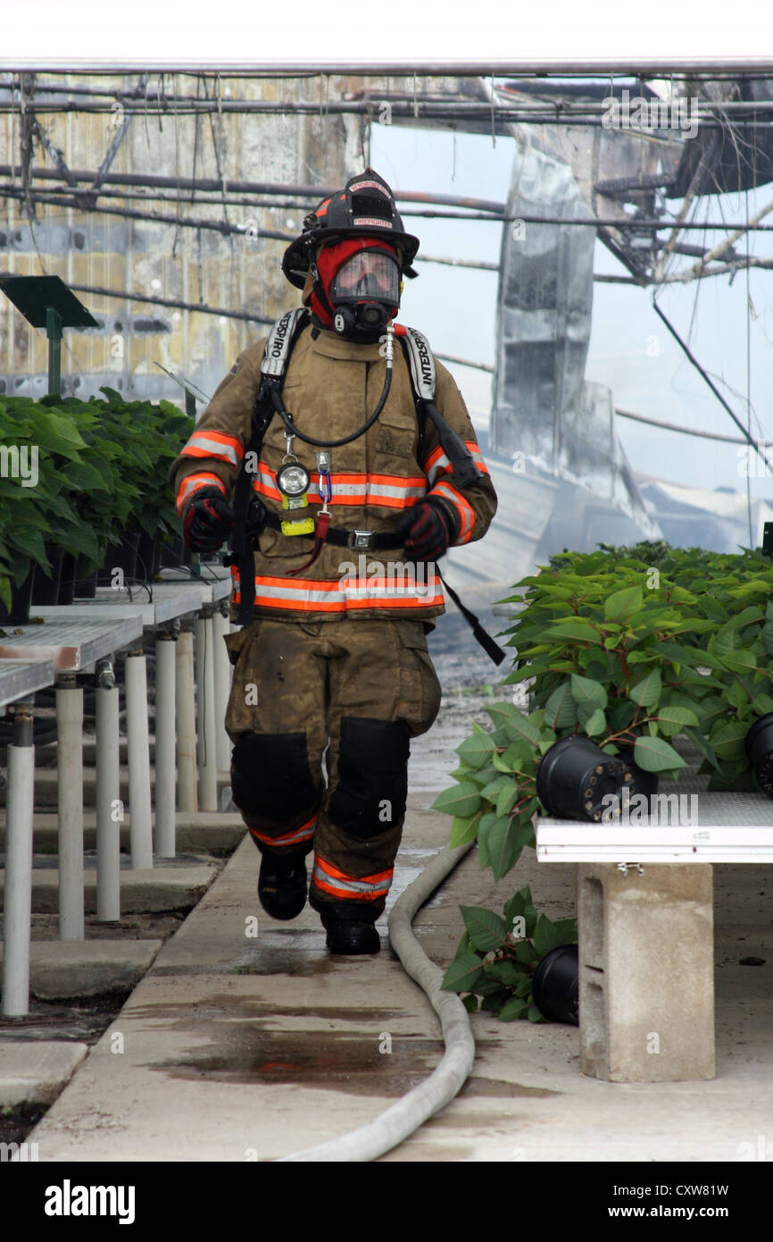 A firefighter at the scene of a fire in a greenhouse nursery Stock ...