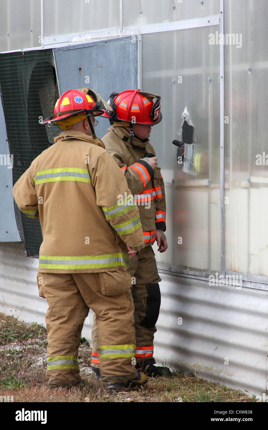 Firefighters communicating through a hole in a greenhouse wall Stock ...