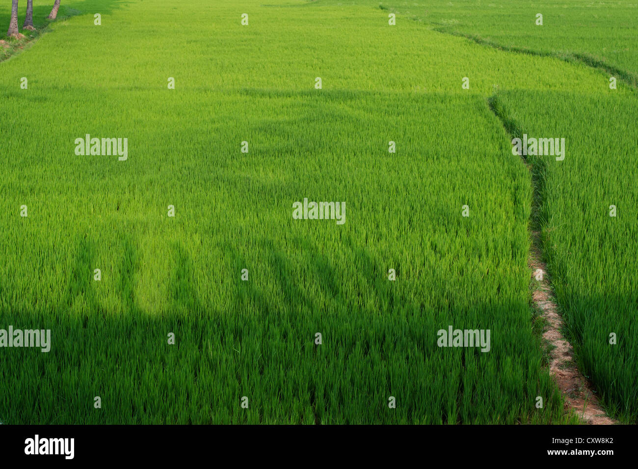 The shadow line hi-res stock photography and images - Alamy