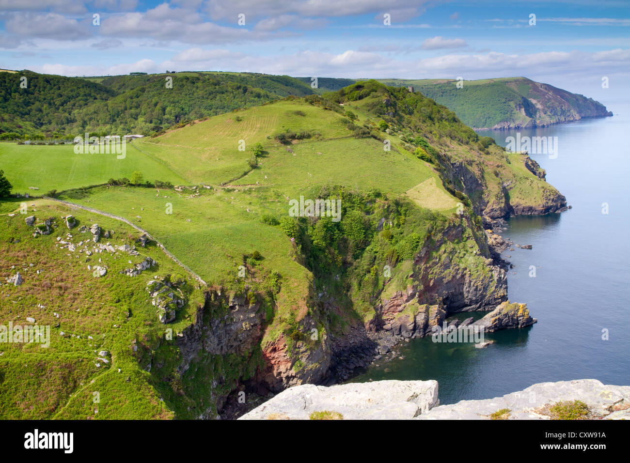 Devon coast at the Valley of Rocks near Lynton in Devon Stock Photo - Alamy