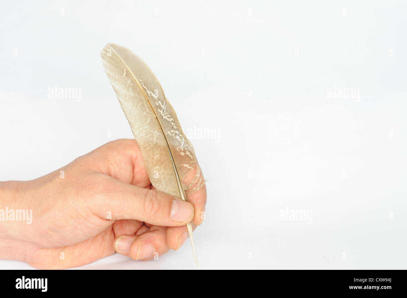 Writing with a piece of bird feather on a white background Stock Photo ...
