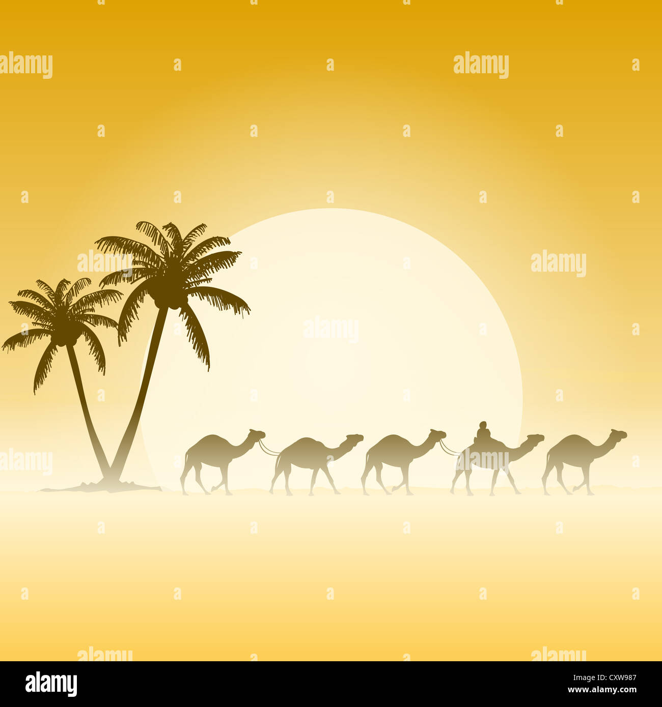 Camels palm trees hi-res stock photography and images - Alamy