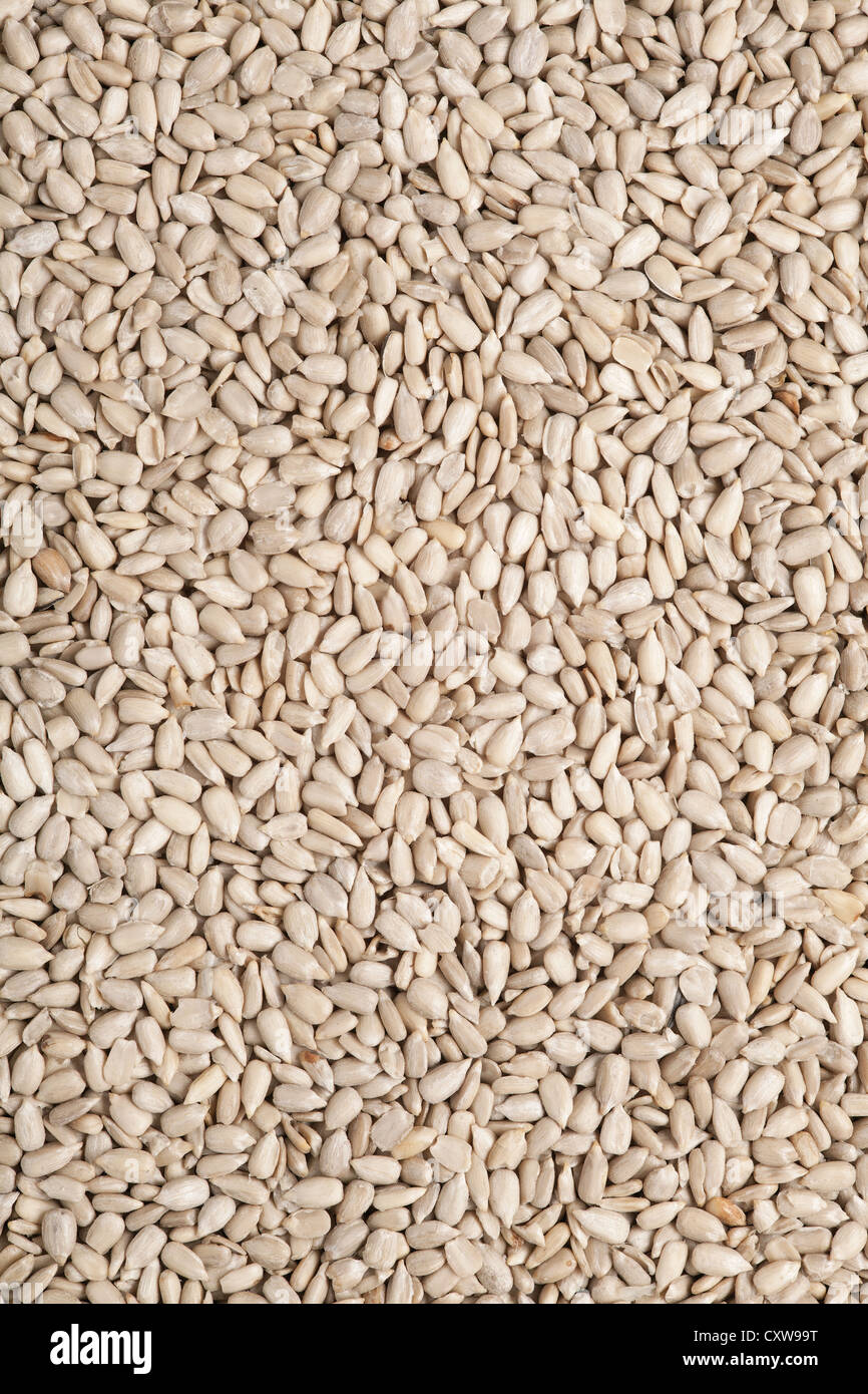 sunflower seed background, white grain food texture Stock Photo - Alamy