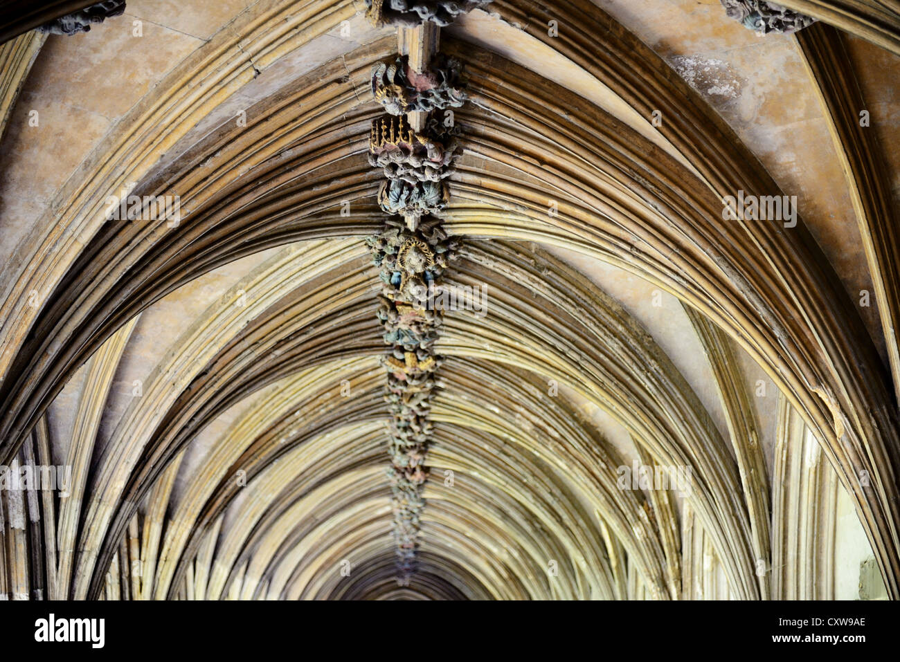 Norwich cathedral bosses hi-res stock photography and images - Alamy