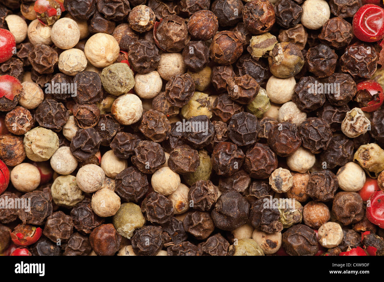 pepper background, closeup of pepper grain food texture Stock Photo - Alamy