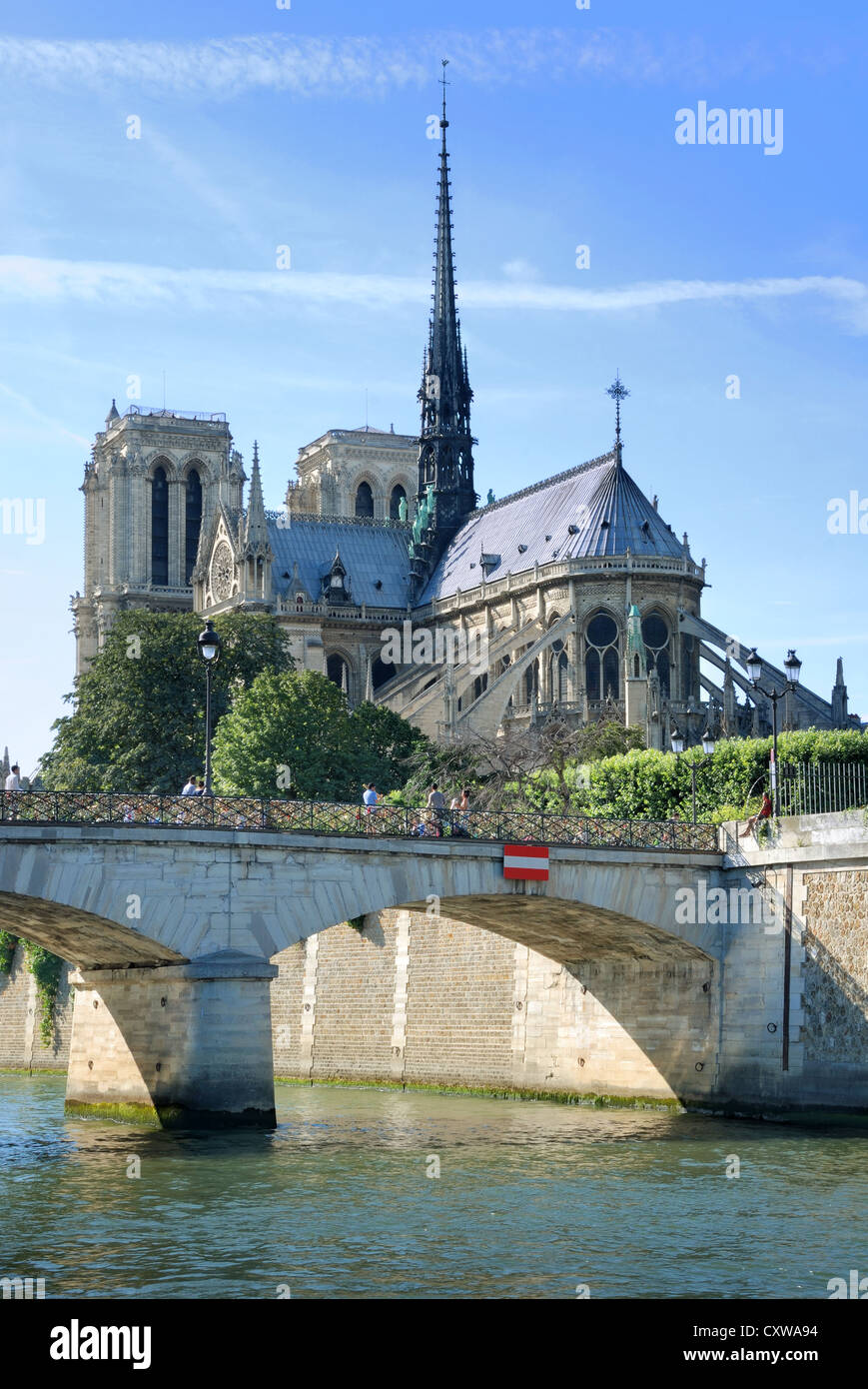 Bridge Pont de Archeveche and cathedral Notre Dame de Paris on island ...