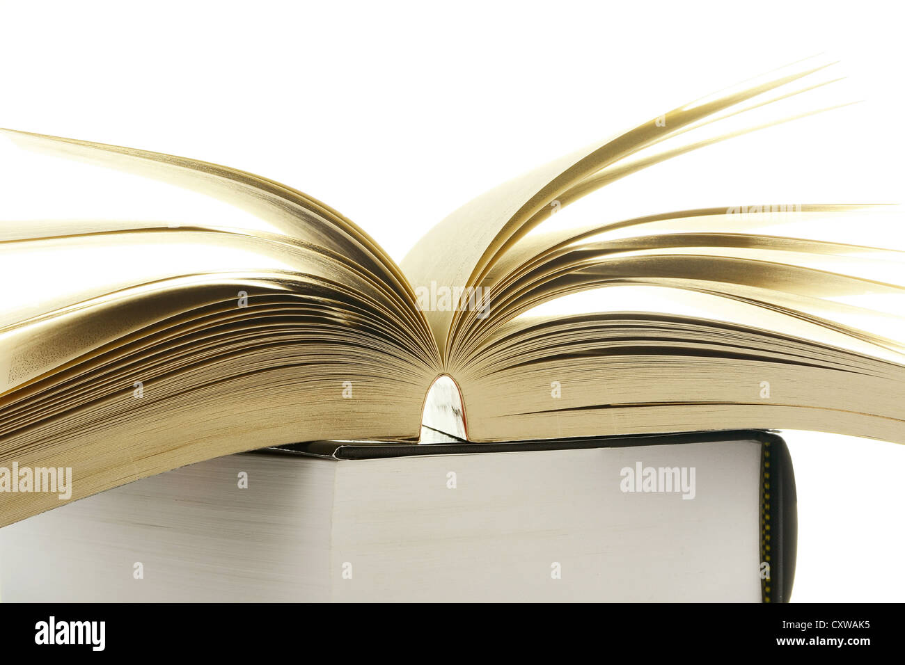 Composition with books on white background Stock Photo - Alamy